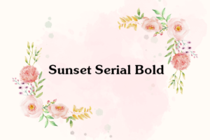 Sunset Serial Bold Font Free Download - Fonts Online Blog